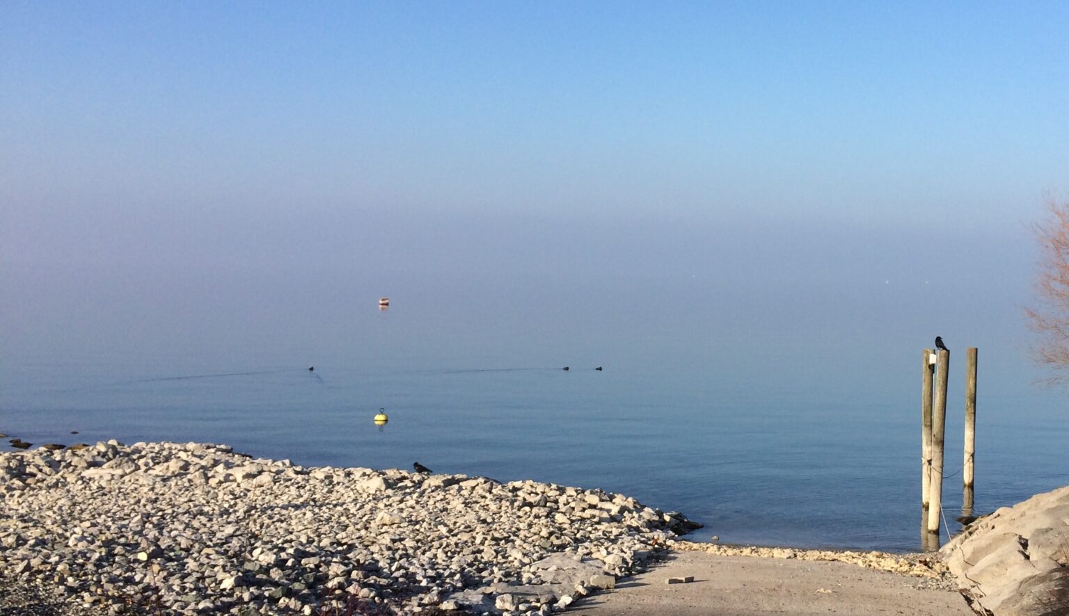 Dauerflaute auf Schweizer Seen? – Verband Schweizerischer Segelschulen VSSS